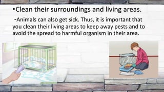 Proper Handling of Animals | PPTX