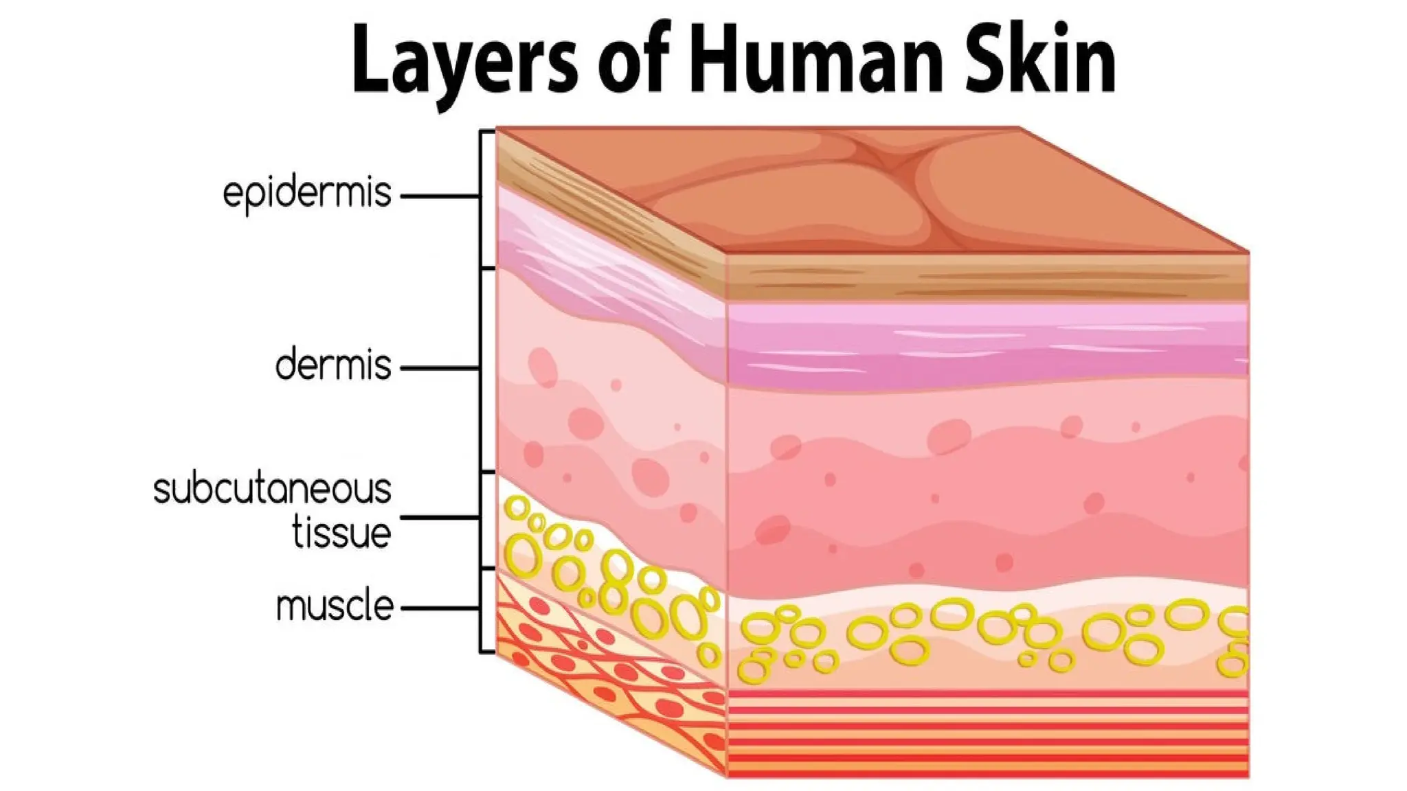 Proper Injection Techniques For nurses.pptx