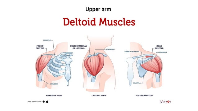 Proper Injection Techniques For nurses.pptx