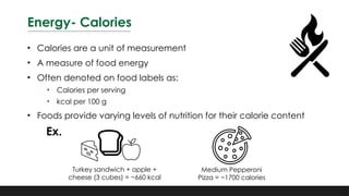 Proper meal plan and review of nutrition principles.pptx