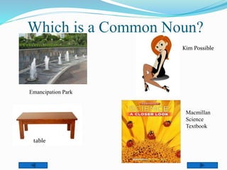 Proper Nouns and Common Nouns | PPTX