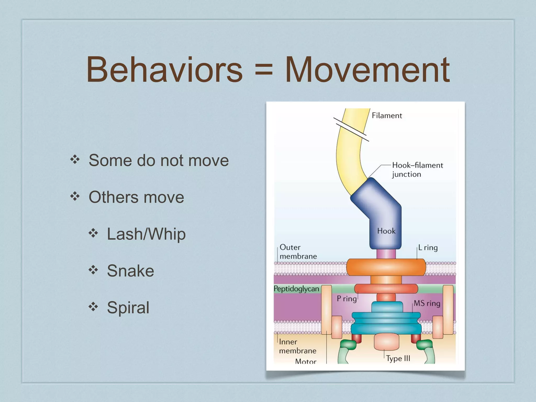 Proper power points and example | PPT