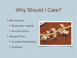 Proper power points and example | PPT