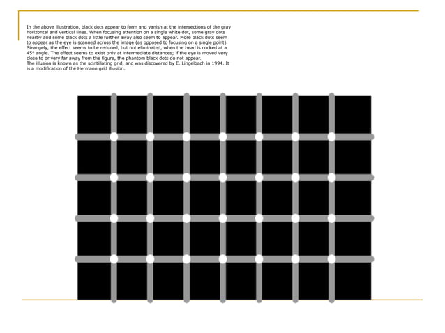 properties-light-and-visual-function-2010-2250-2250.ppt | Eye and ...