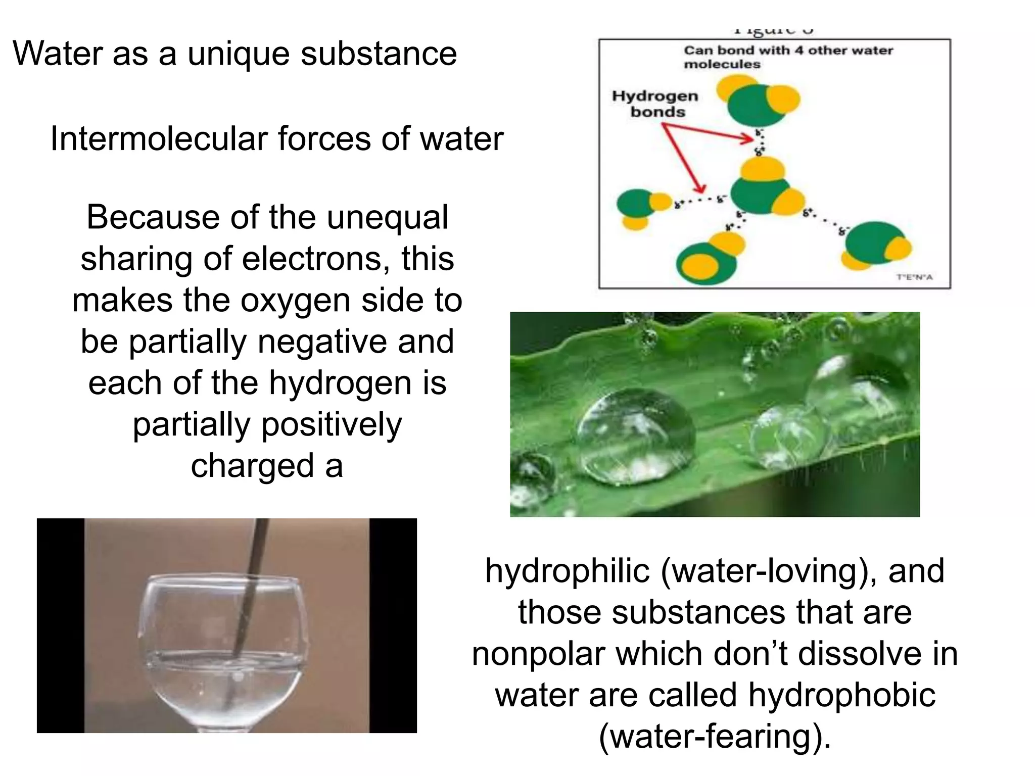 properties-of-liquids | PPT