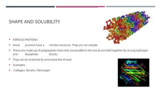Properties-of-Proteins.pptx audirkwpamfirp | PPTX