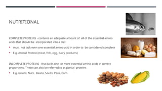 Properties-of-Proteins.pptx audirkwpamfirp | PPTX