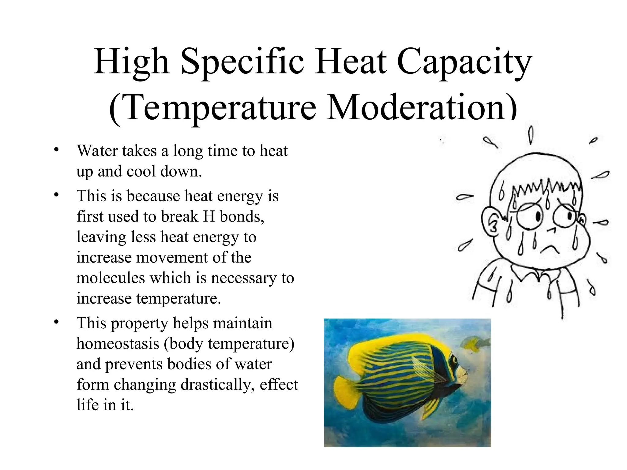 Properties-of-water PowerPoint Presentation | PPT