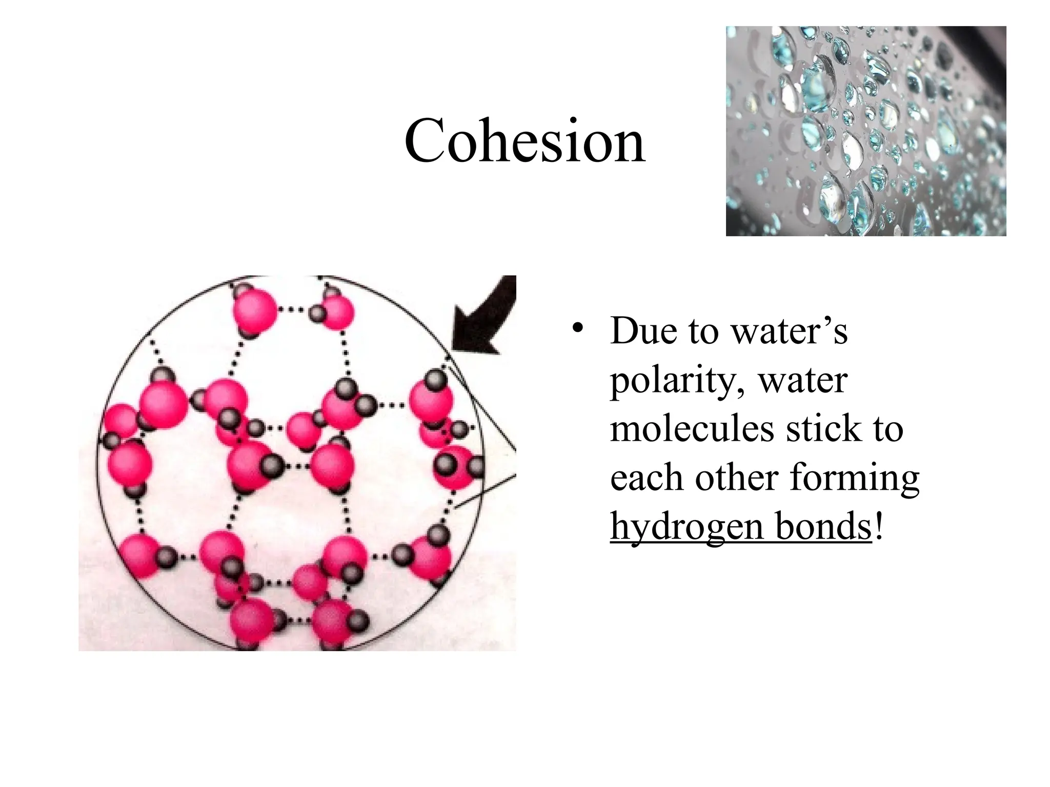 Properties-of-water PowerPoint Presentation | PPT