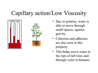 Properties-of-water PowerPoint Presentation | PPT