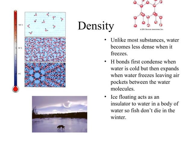 Properties-of-water PowerPoint Presentation | PPT