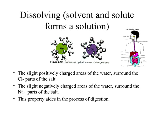 Properties-of-water PowerPoint Presentation | PPT