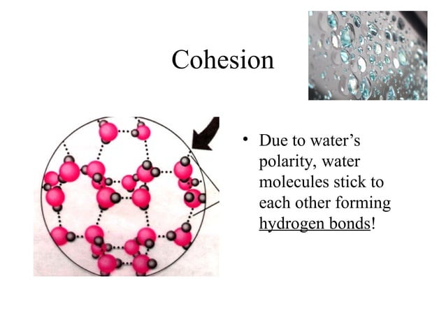 Properties-of-water PowerPoint Presentation | PPT