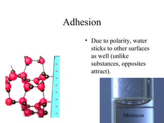 Properties-of-water PowerPoint Presentation | PPT