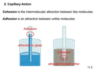 properties-of-water ppt | PPT