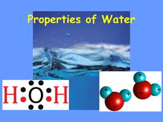 Properties-of-water-notes.ppt.pptxxxxxxx | PPTX