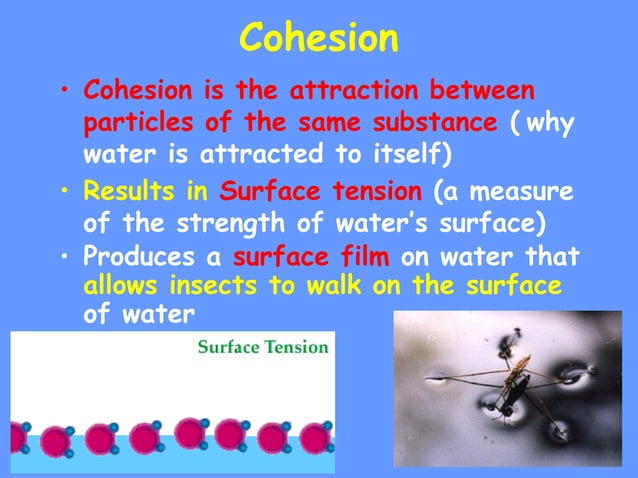 Properties-of-water-notes.ppt.pptxxxxxxx | PPTX