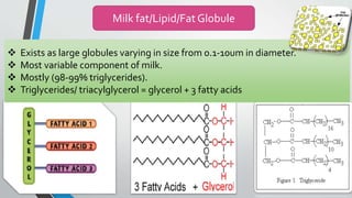 Milk, Physical Properties and milk fat | PPTX