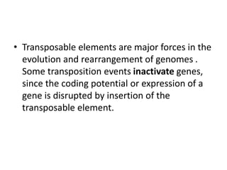 Properties and effects of transposable elements | PPT