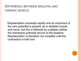 Properties and excitation of heart muscle | PPT