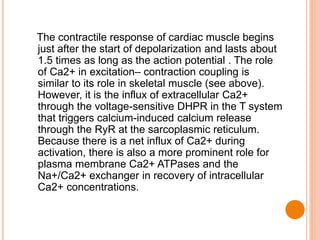 Properties and excitation of heart muscle | PPT