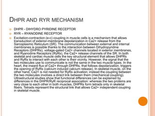 Properties and excitation of heart muscle | PPT