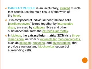 Properties and excitation of heart muscle | PPT