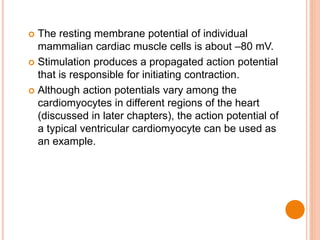 Properties and excitation of heart muscle | PPT