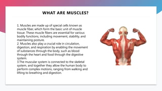 PROPERTIES AND FUNCTIONS OF MUSCLES.pptx