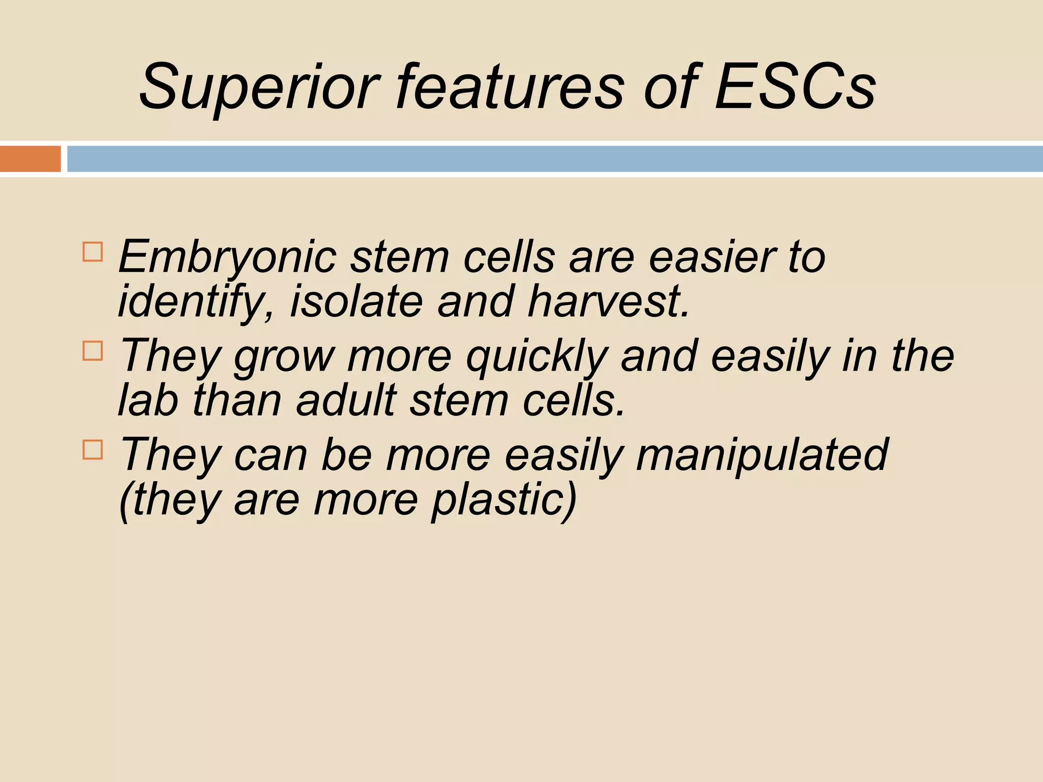 Properties and uses of stem cells | PPT