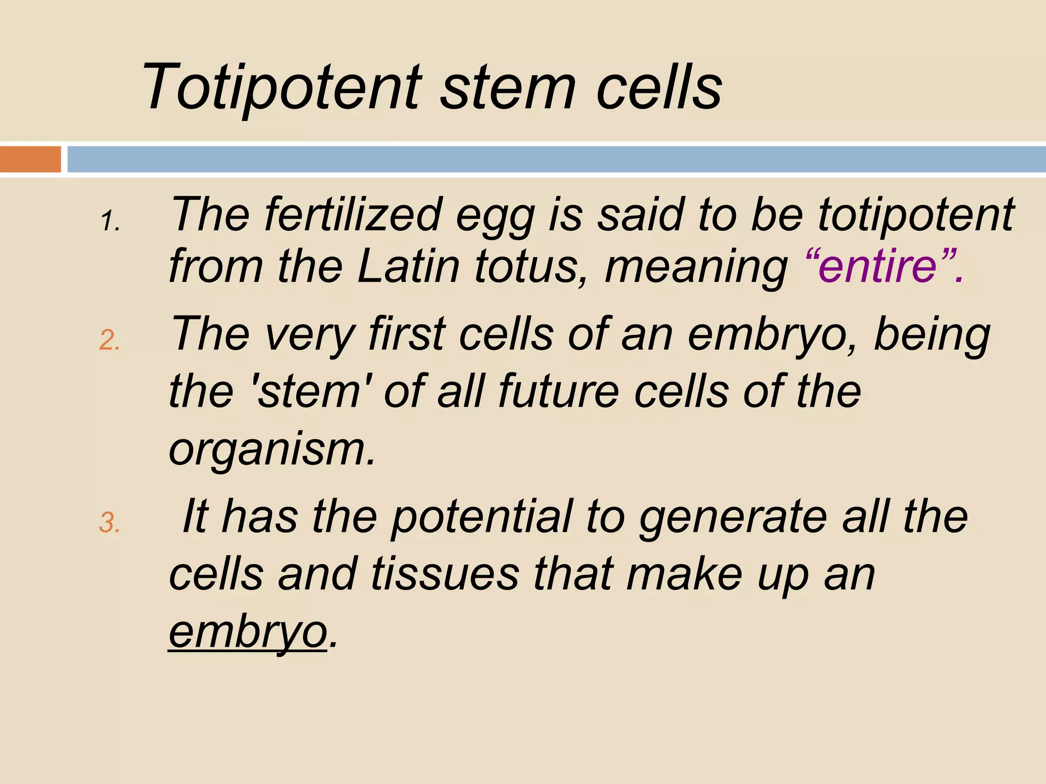 Properties and uses of stem cells | PPT