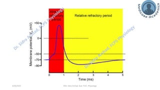 Nerve Physiology - Properties of Action Potential | PDF