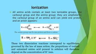 Properties of amino acids | PPTX