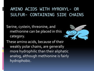 Properties of amino acid side chains report ni lady | PPTX | Chemistry ...