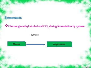Properties of carbohydrates | PPTX