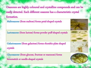 Properties of carbohydrates | PPTX
