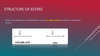 Properties of Carboxylic Acids and Esters.pptx | Chemistry | Science