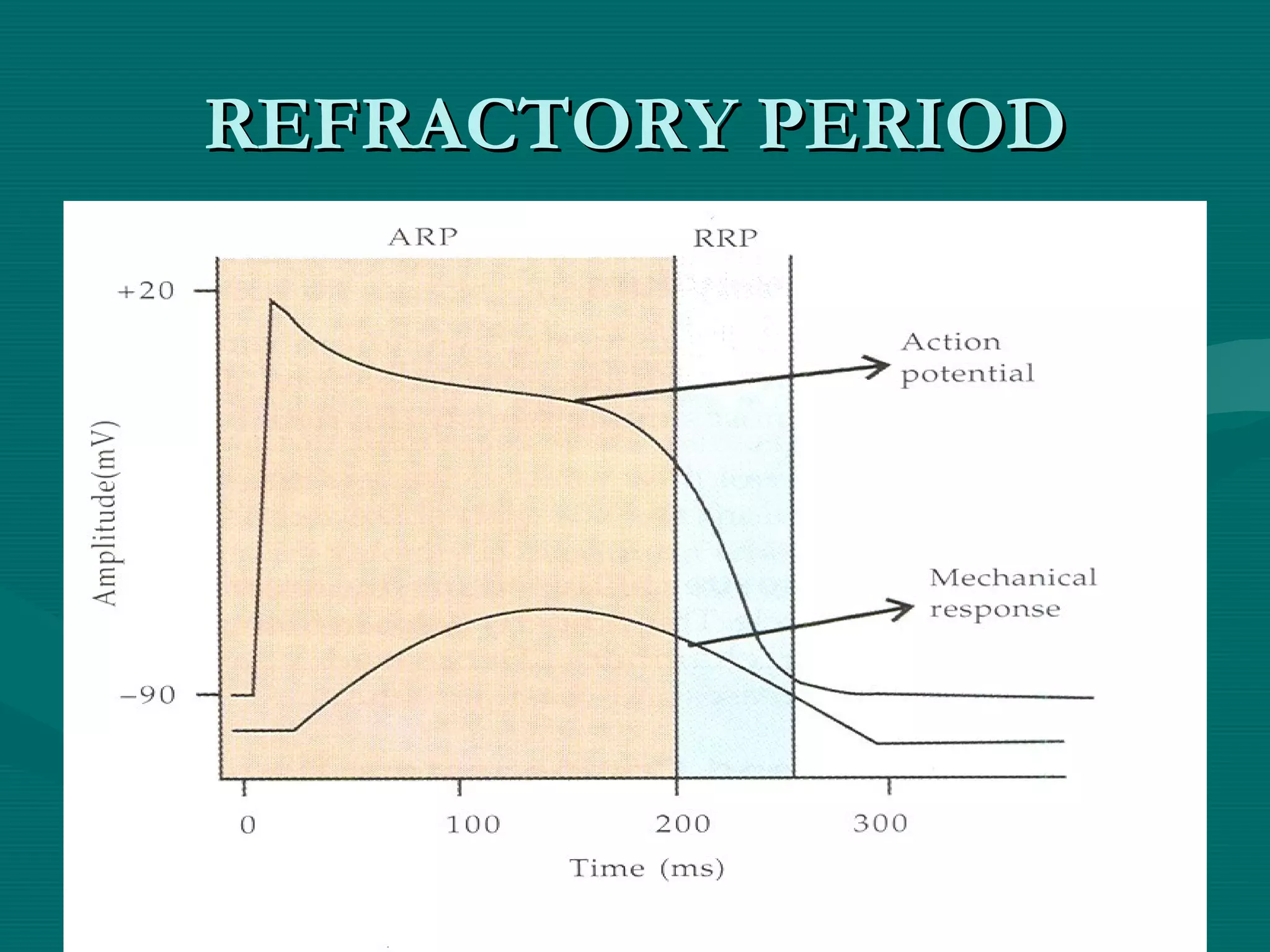 Properties of cardiac muscles | PPT