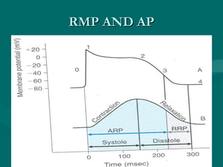 Properties of cardiac muscles | PPT