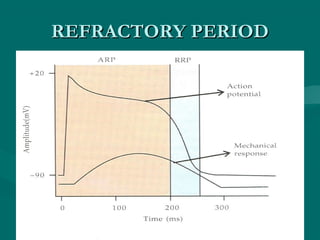 Properties of cardiac muscles | PPT