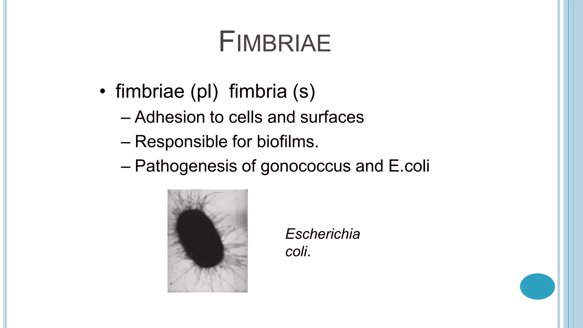 Properties of cells & cell membrane | PPTX