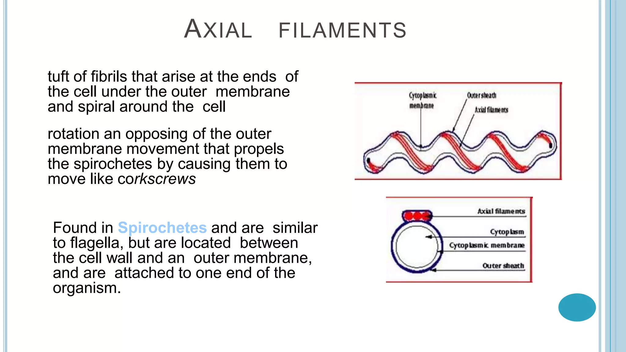 Properties of cells & cell membrane | PPTX