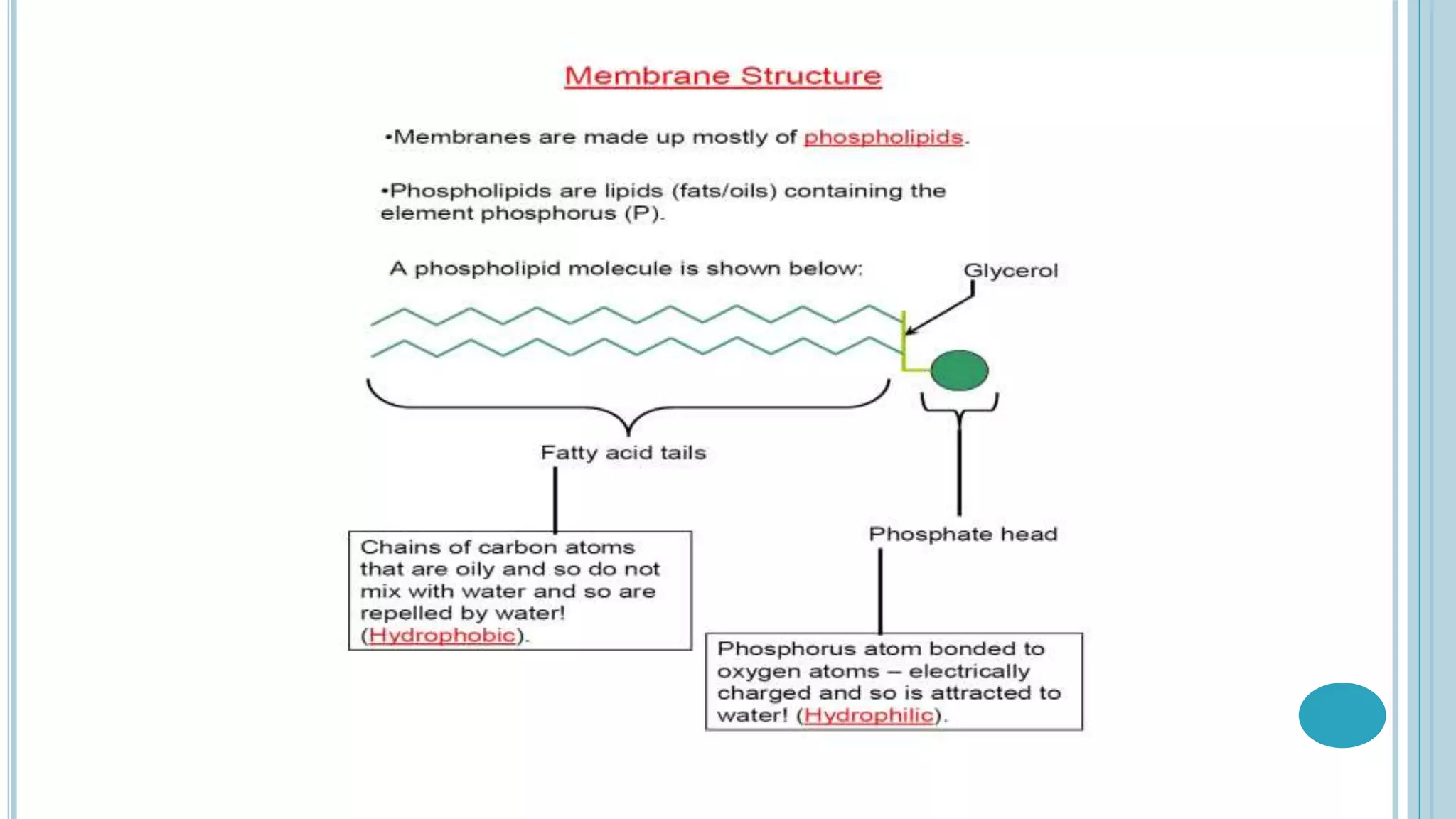 Properties of cells & cell membrane | PPTX