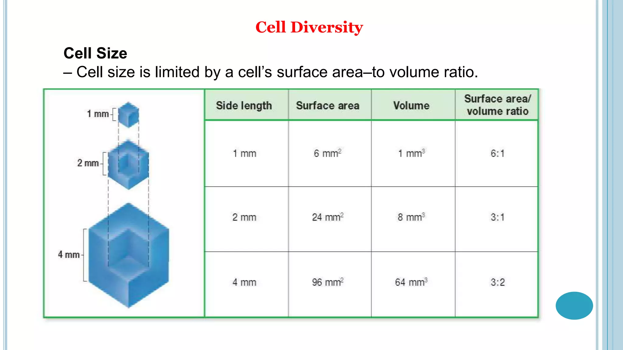 Properties of cells & cell membrane | PPTX