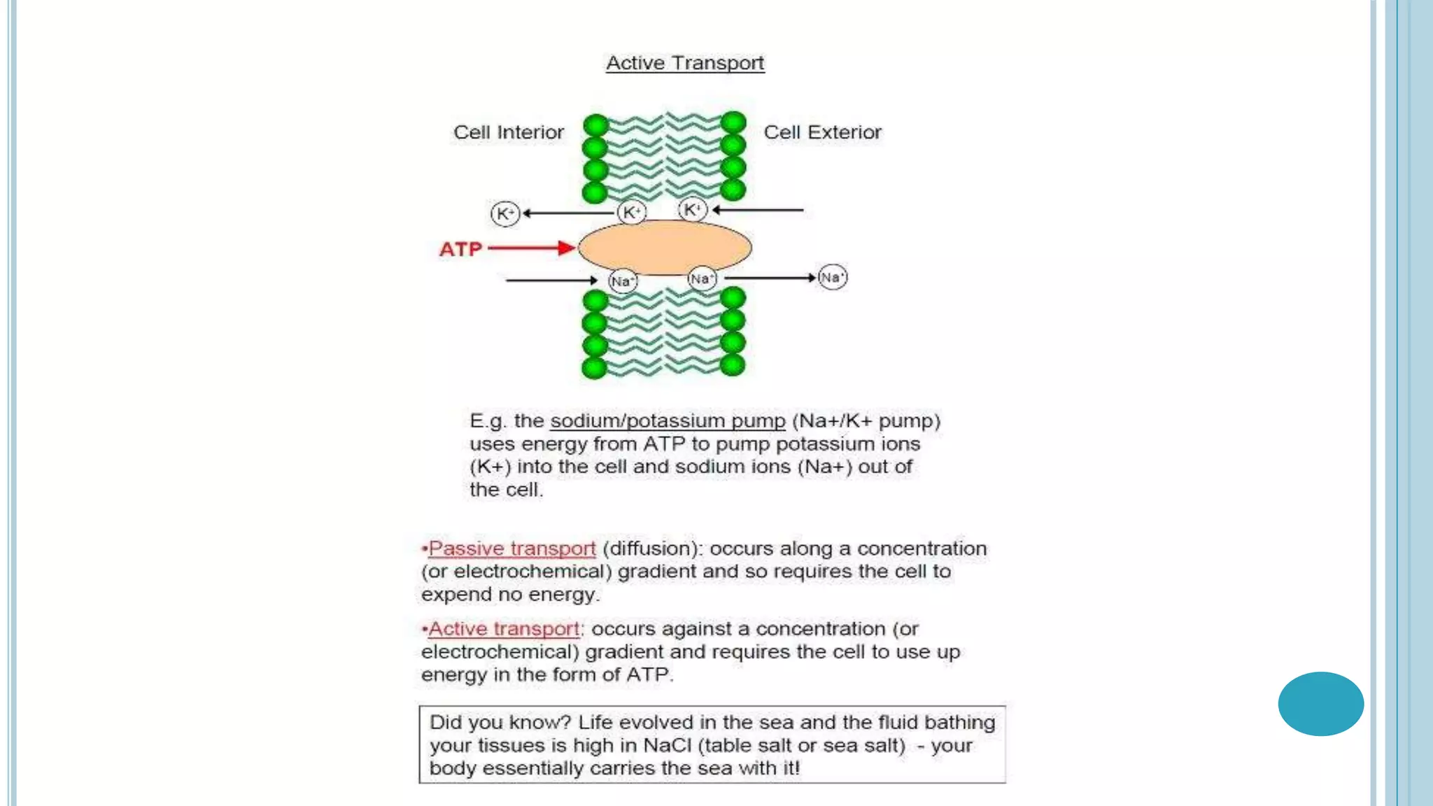Properties of cells & cell membrane | PPTX
