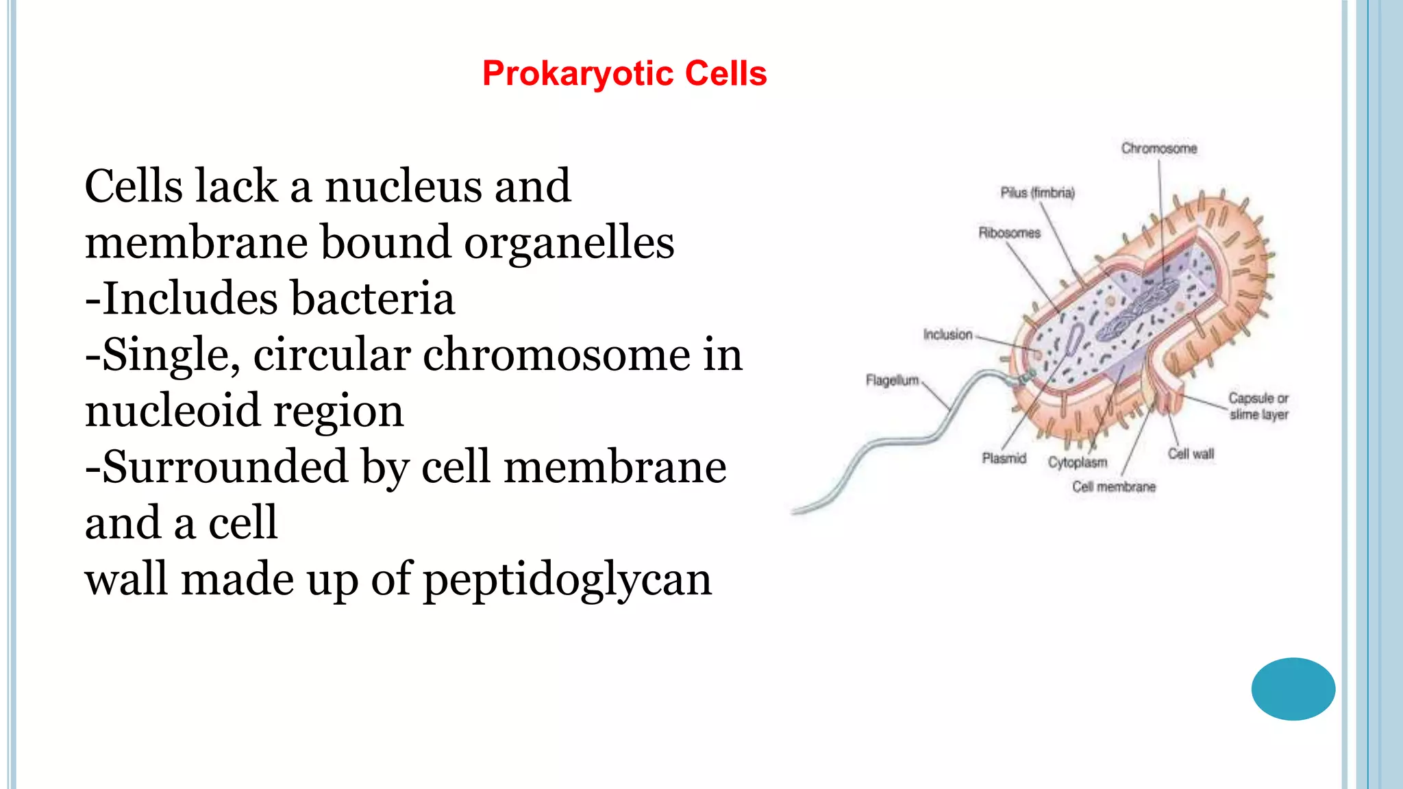 Properties of cells & cell membrane | PPTX