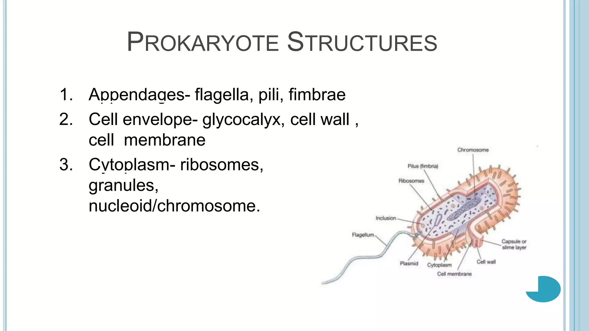 Properties of cells & cell membrane | PPTX