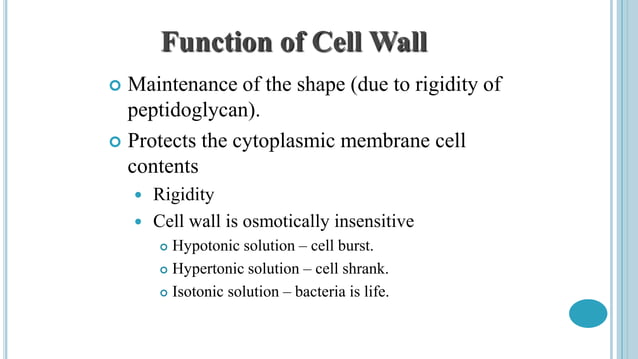 Properties of cells & cell membrane | PPTX