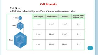 Properties of cells & cell membrane | PPTX