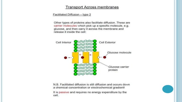 Properties of cells & cell membrane | PPTX